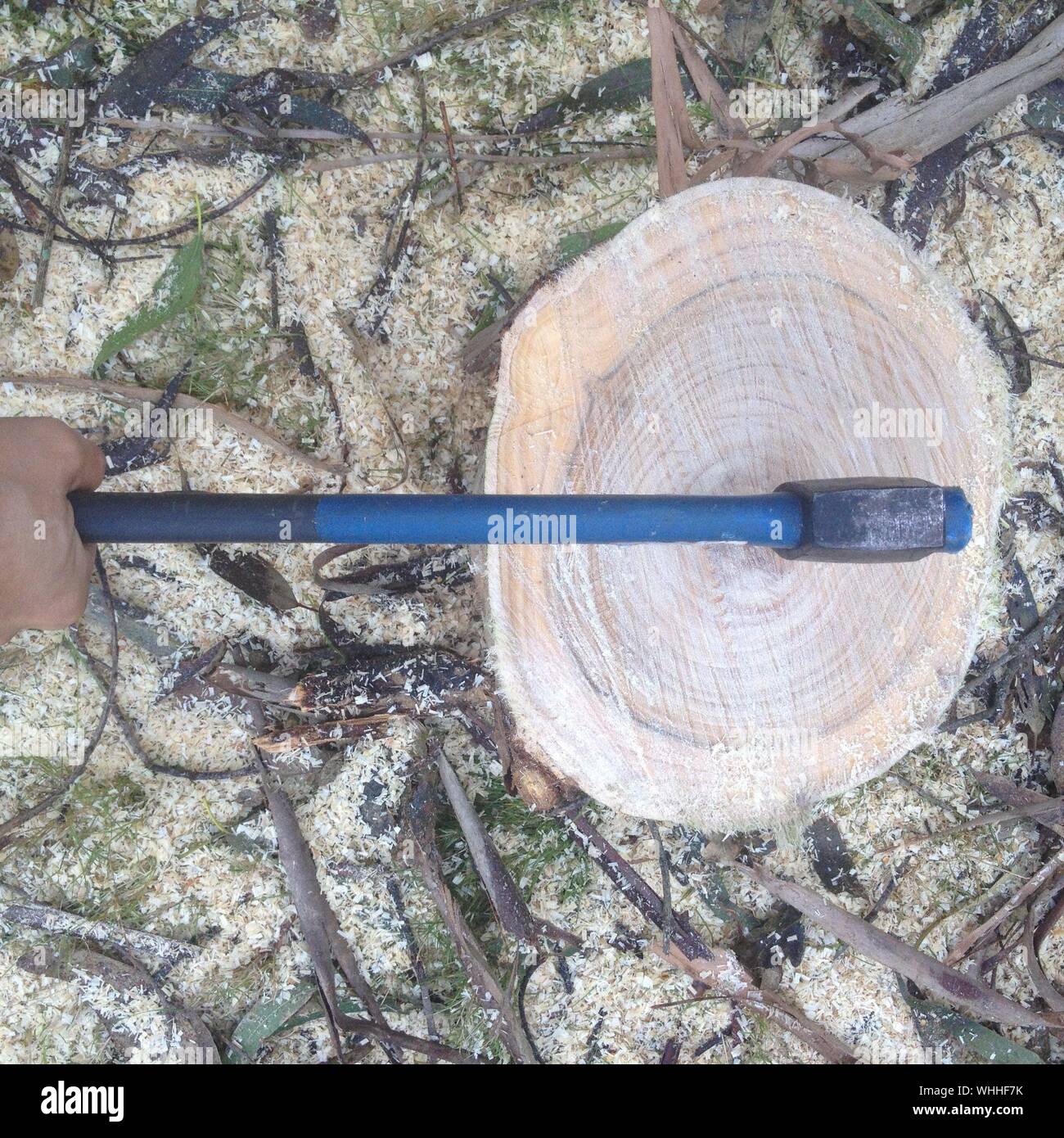 Axe men personal hi-res stock photography and images - Alamy