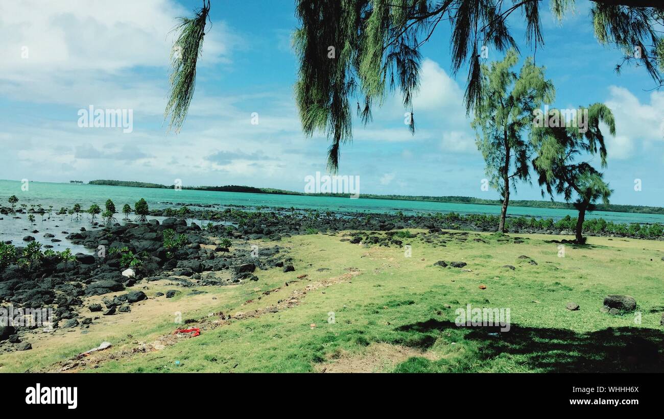 Mauritius pollution hi-res stock photography and images - Alamy