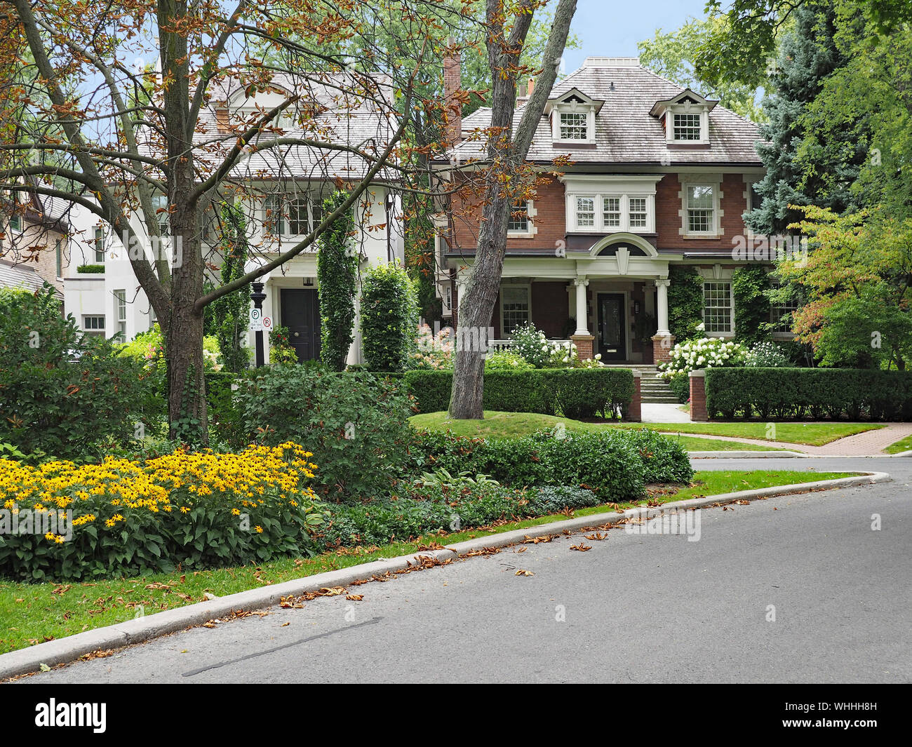 Tree lined brick street hi-res stock photography and images - Alamy