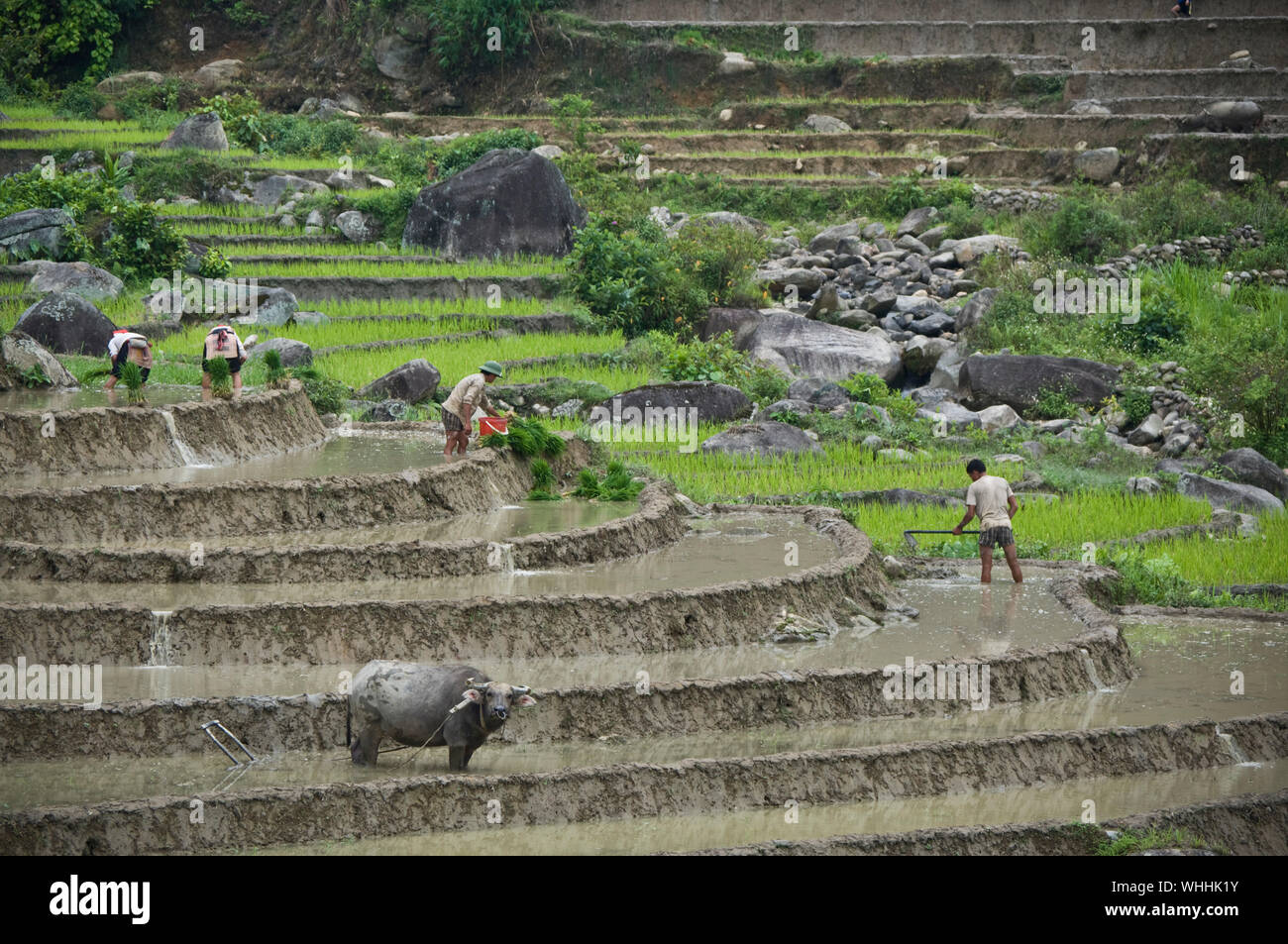 Farmers water hi-res stock photography and images - Alamy