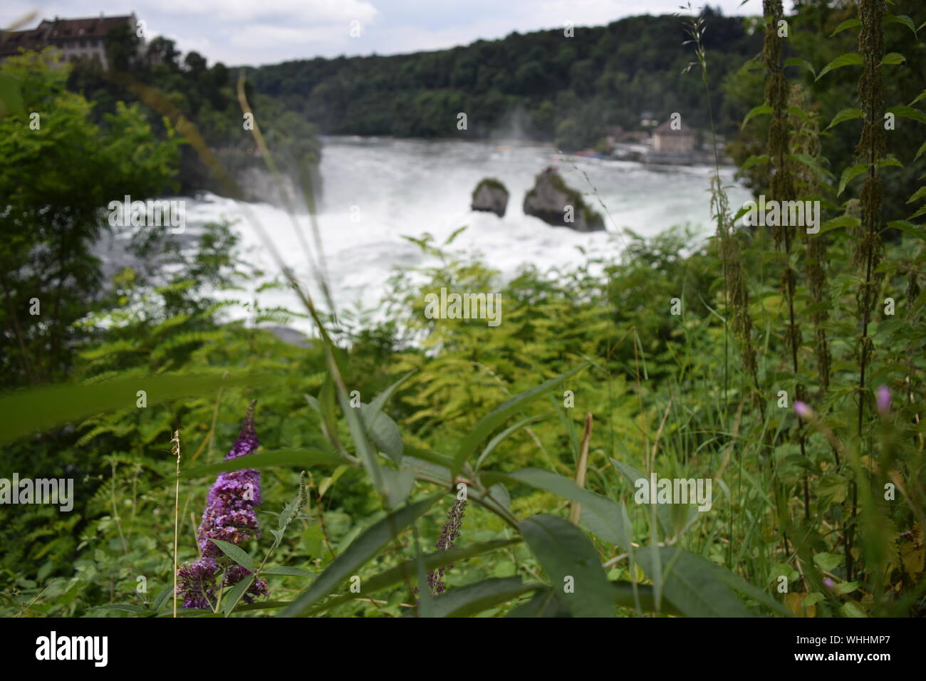 Swiss german border hi-res stock photography and images - Alamy