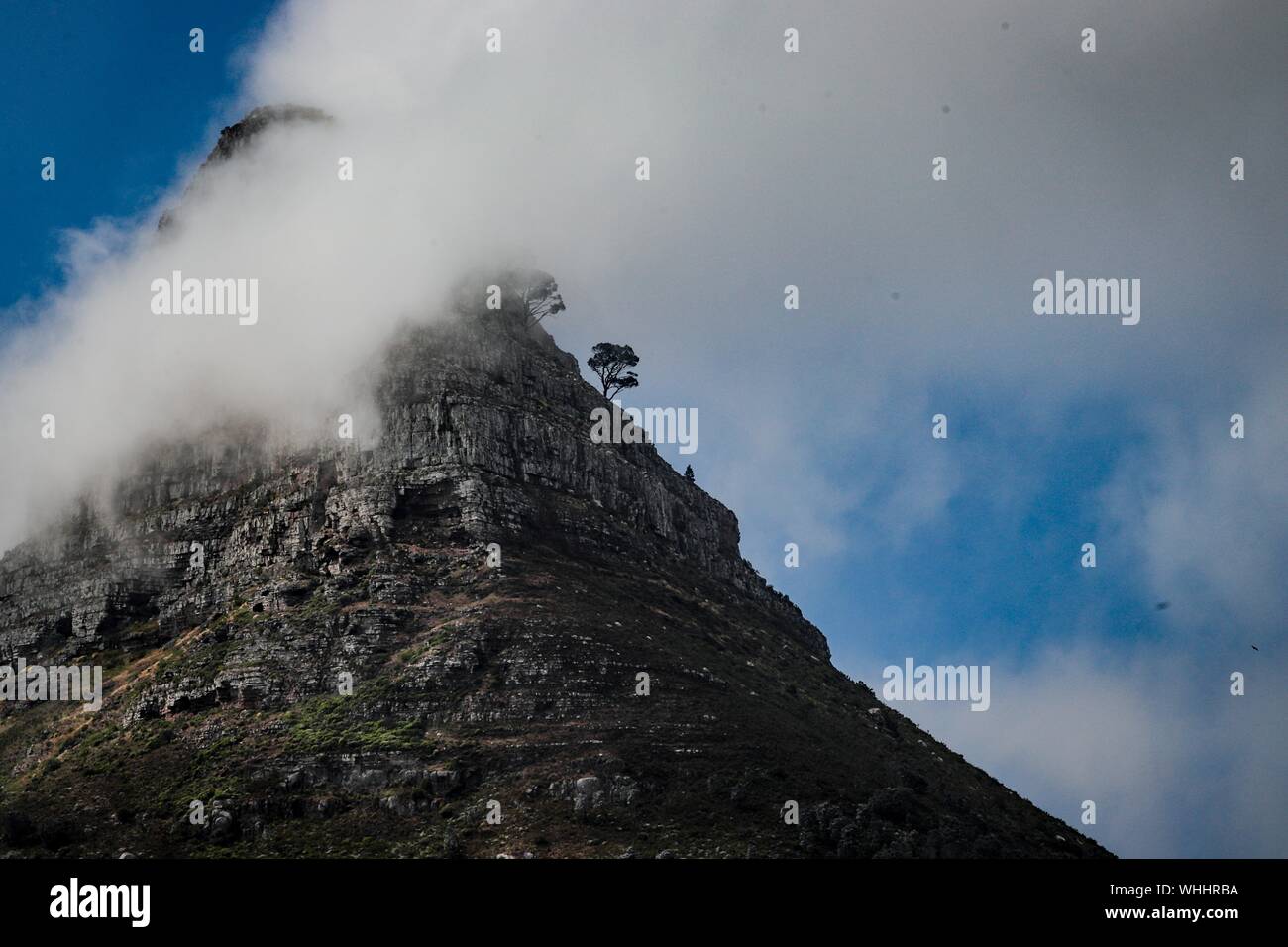 Low angle elevation shot hi-res stock photography and images - Alamy