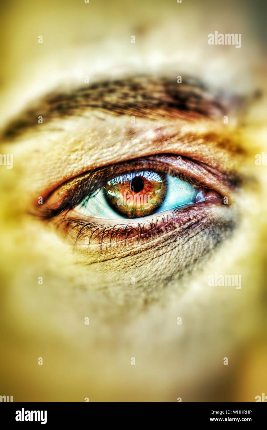 Male human eye close up hi-res stock photography and images - Alamy