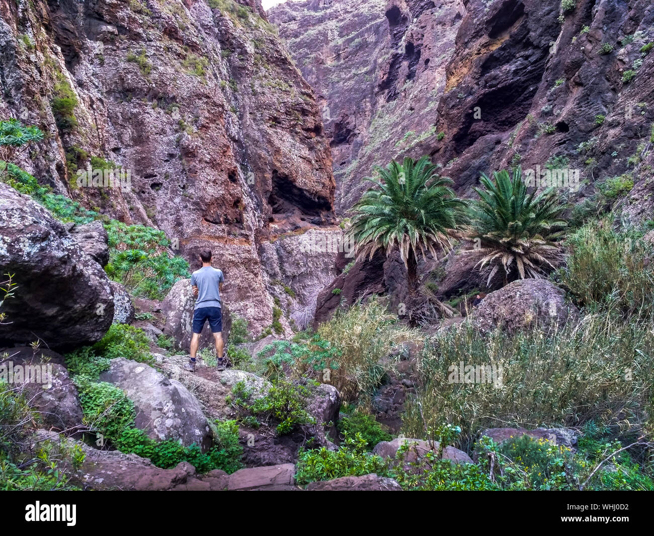 Real gorge hi-res stock photography and images - Alamy