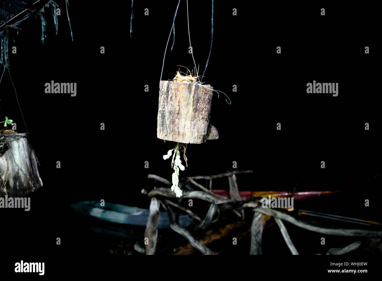 Hanging log hi-res stock photography and images - Alamy