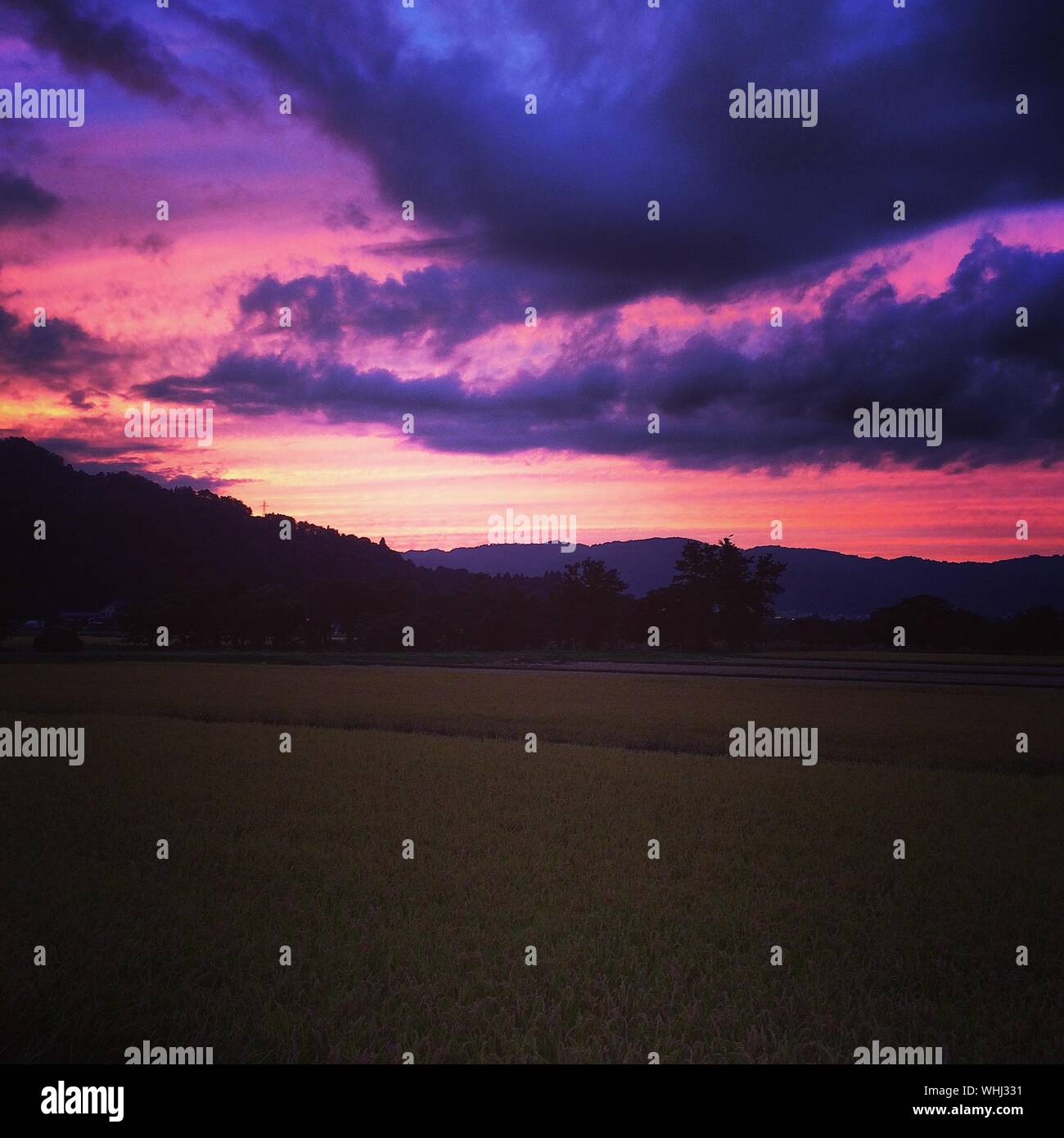 Purple sunset sky hi-res stock photography and images - Alamy