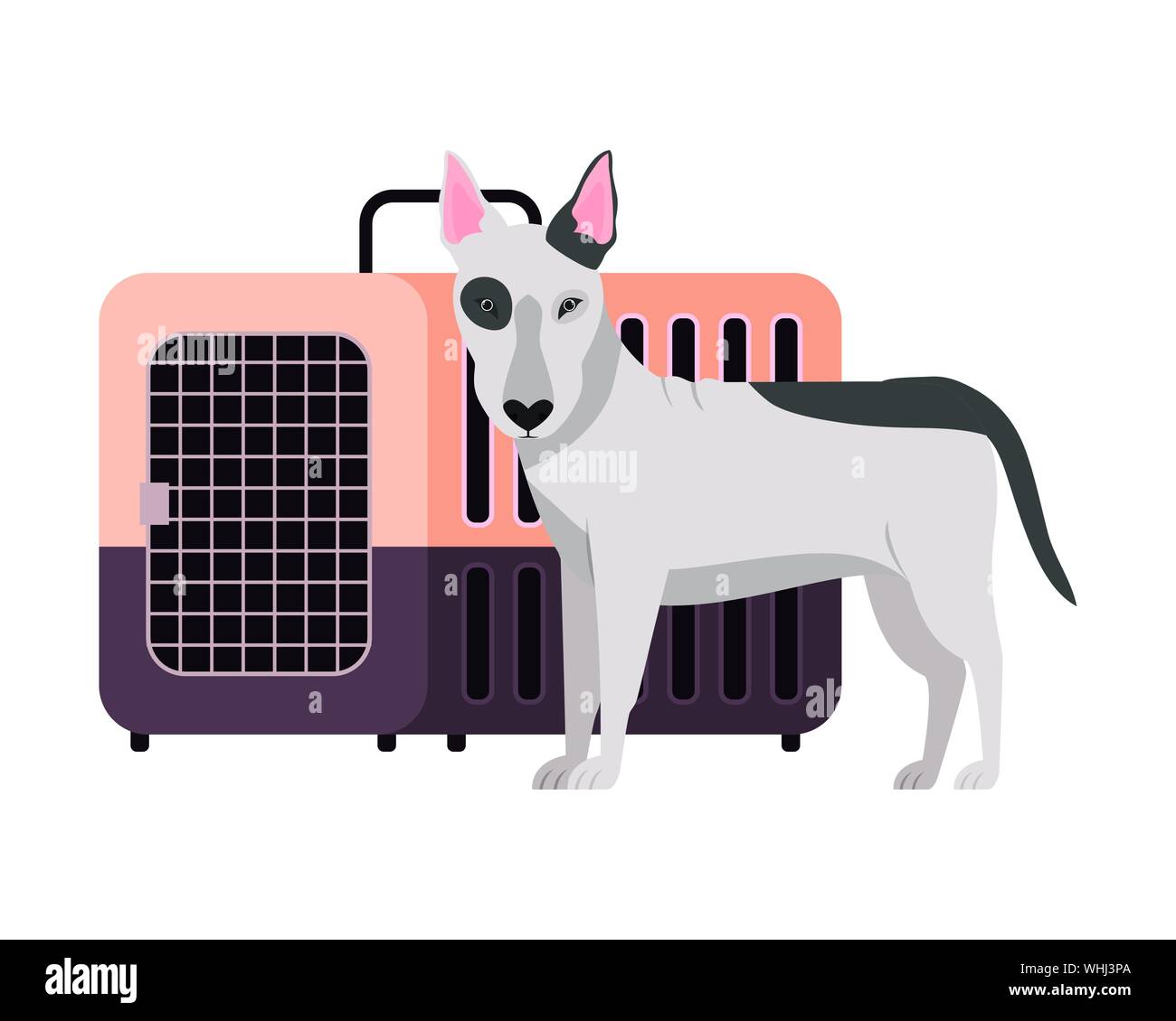 dog and pet transport box on white background Stock Vector Image & Art ...