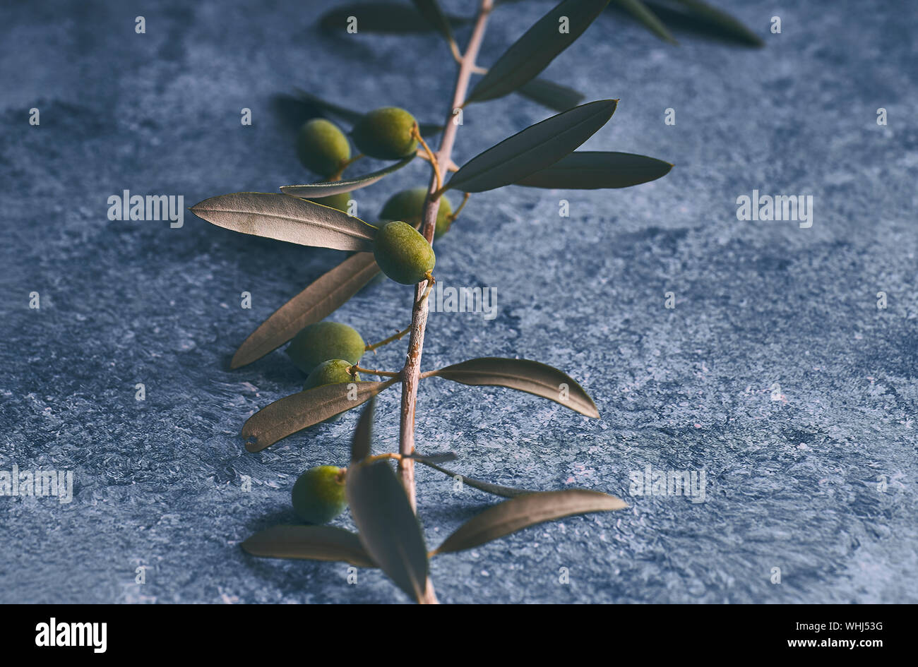 Olive branches on blue hi-res stock photography and images - Alamy
