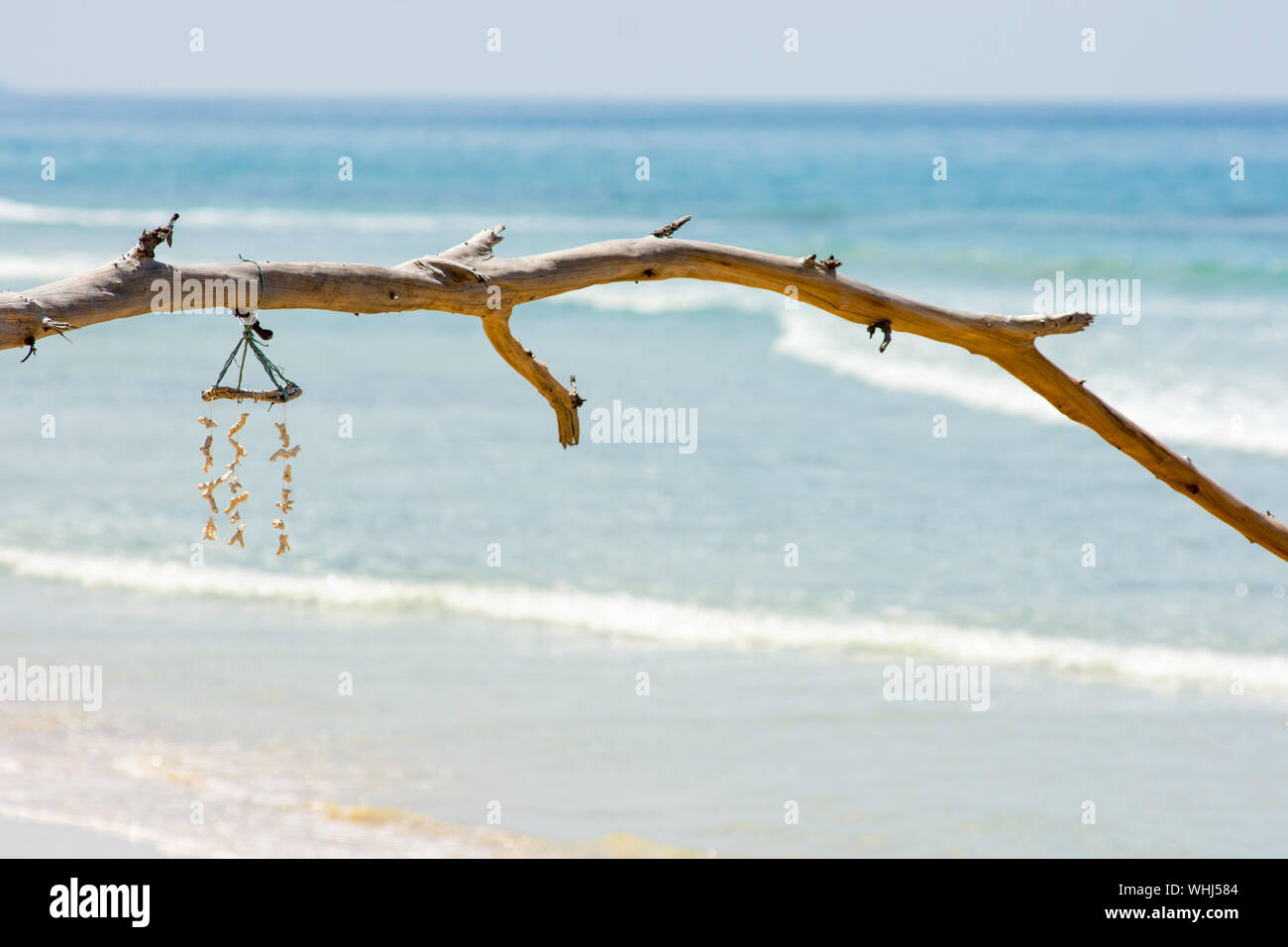Branch Hanging Over Water High Resolution Stock Photography and Images ...