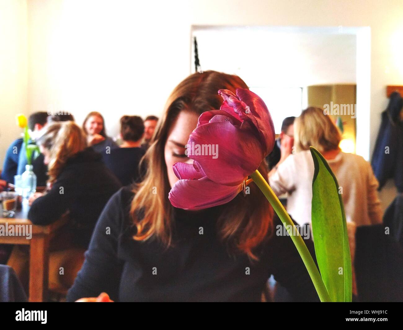 Flower face optical illusion hi-res stock photography and images - Alamy