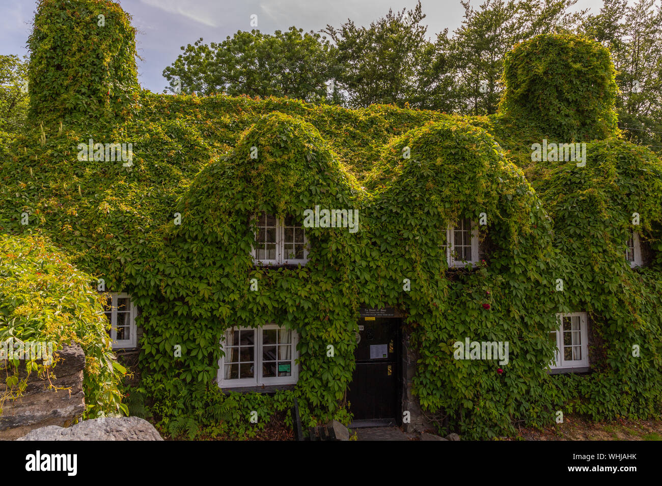 Oldteahouse hi-res stock photography and images - Alamy
