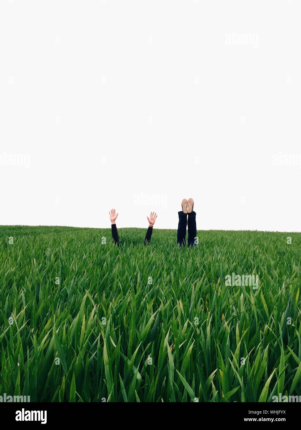 Hands and legs hi-res stock photography and images - Alamy