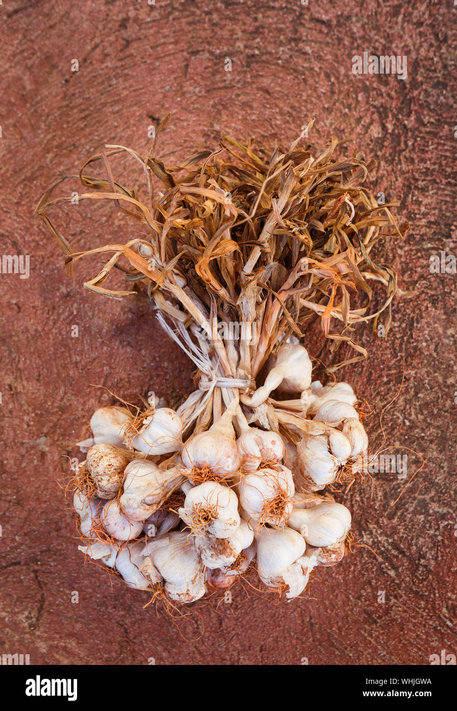 Cluster of organic dried garlic on a red concrete surface Stock Photo ...