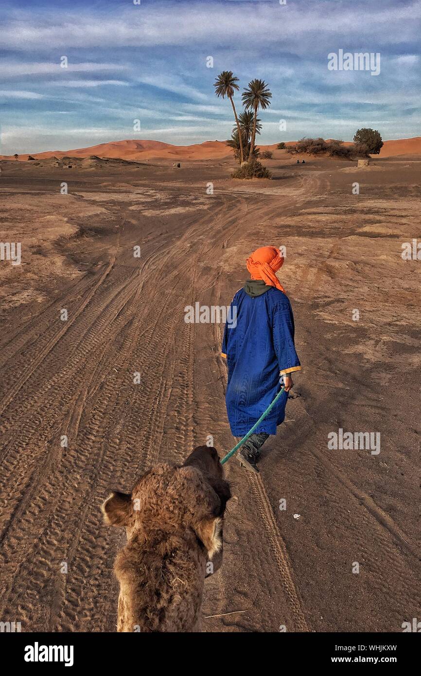 Leading camel desert hi-res stock photography and images - Alamy