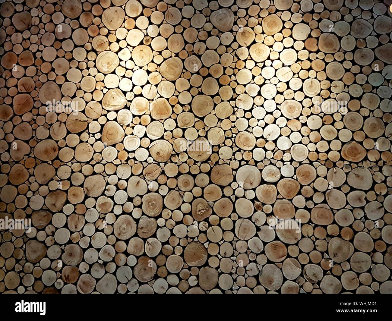 Cut Log High Resolution Stock Photography and Images - Alamy