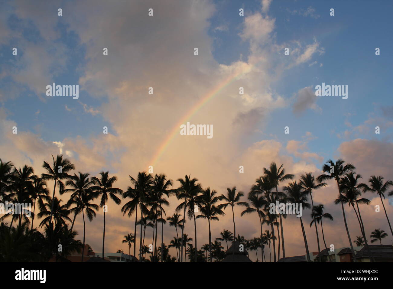 Sunrise rainbow palm tree hi-res stock photography and images - Alamy