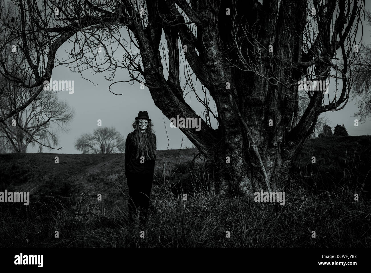 Spooky tree branch hi-res stock photography and images - Alamy