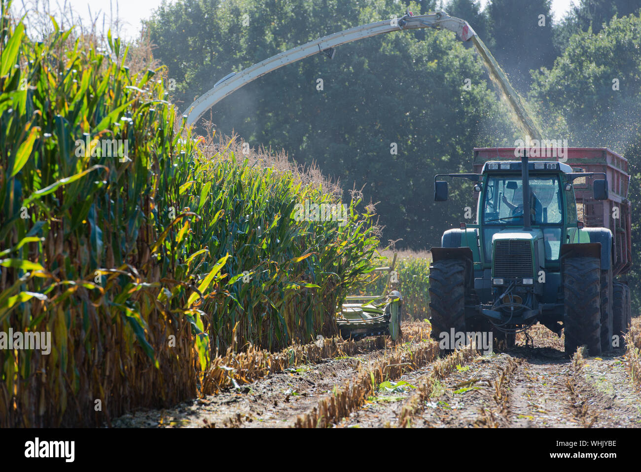 Combine Harvester Green High Resolution Stock Photography and Images ...