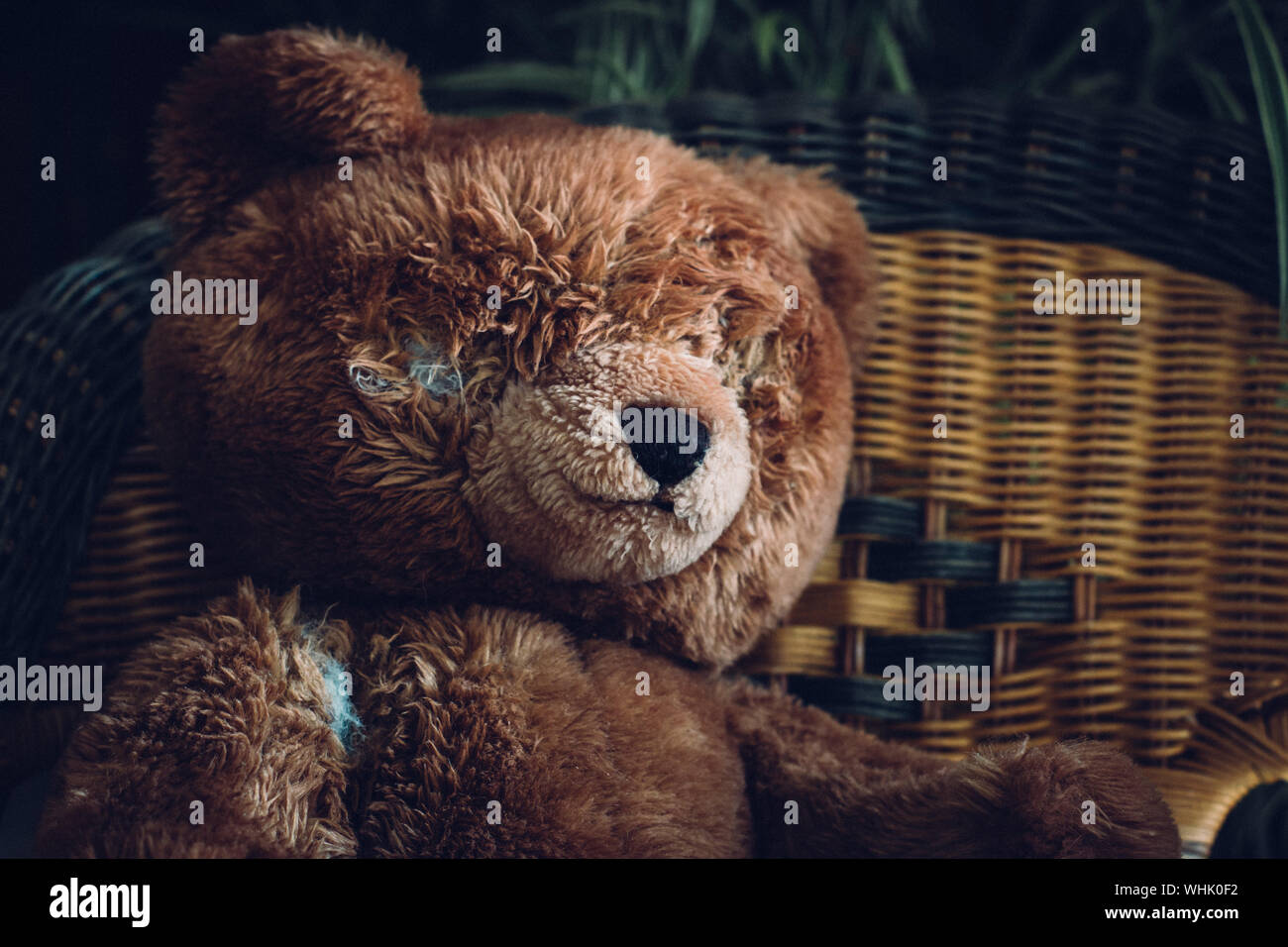 Bad teddy bear hi-res stock photography and images - Alamy
