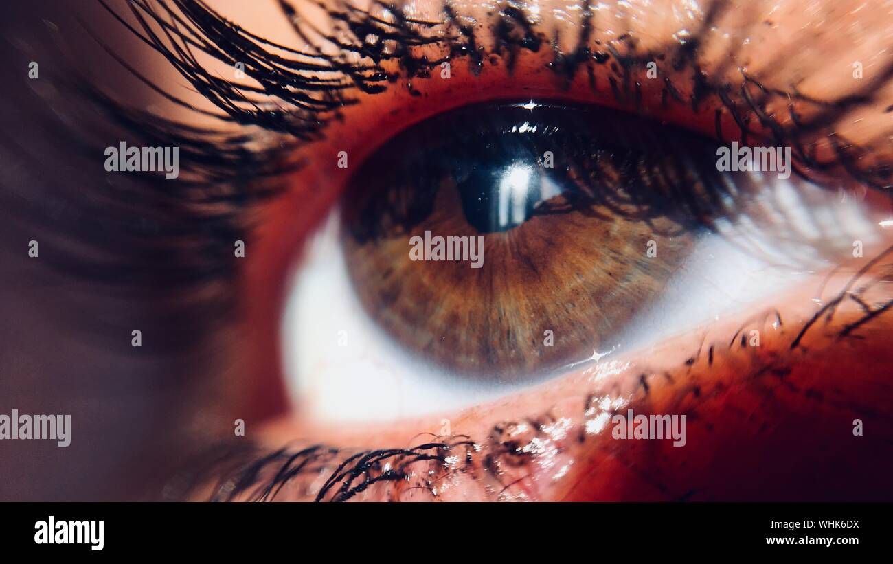 Brown Human Eye High Resolution Stock Photography and Images - Alamy