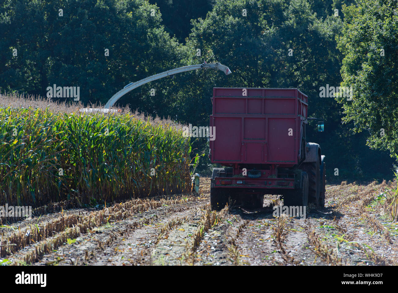 Combine Harvester Green High Resolution Stock Photography and Images ...