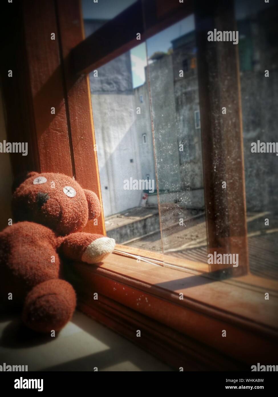 Teddy bear window hi-res stock photography and images - Alamy