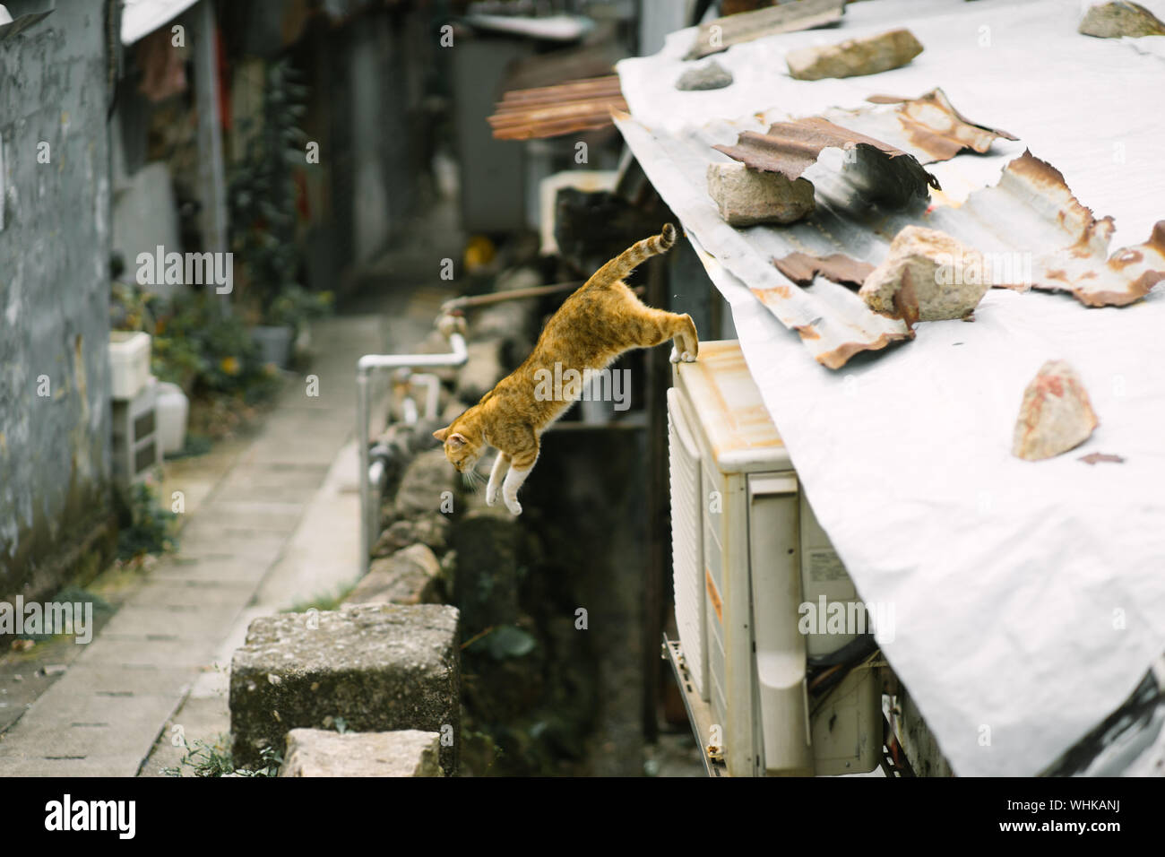 Jumping from building hi-res stock photography and images - Alamy