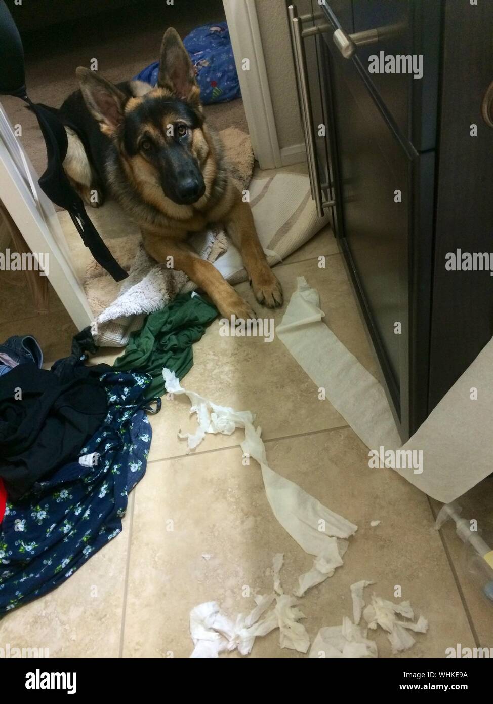 Torn clothes hi-res stock photography and images - Alamy