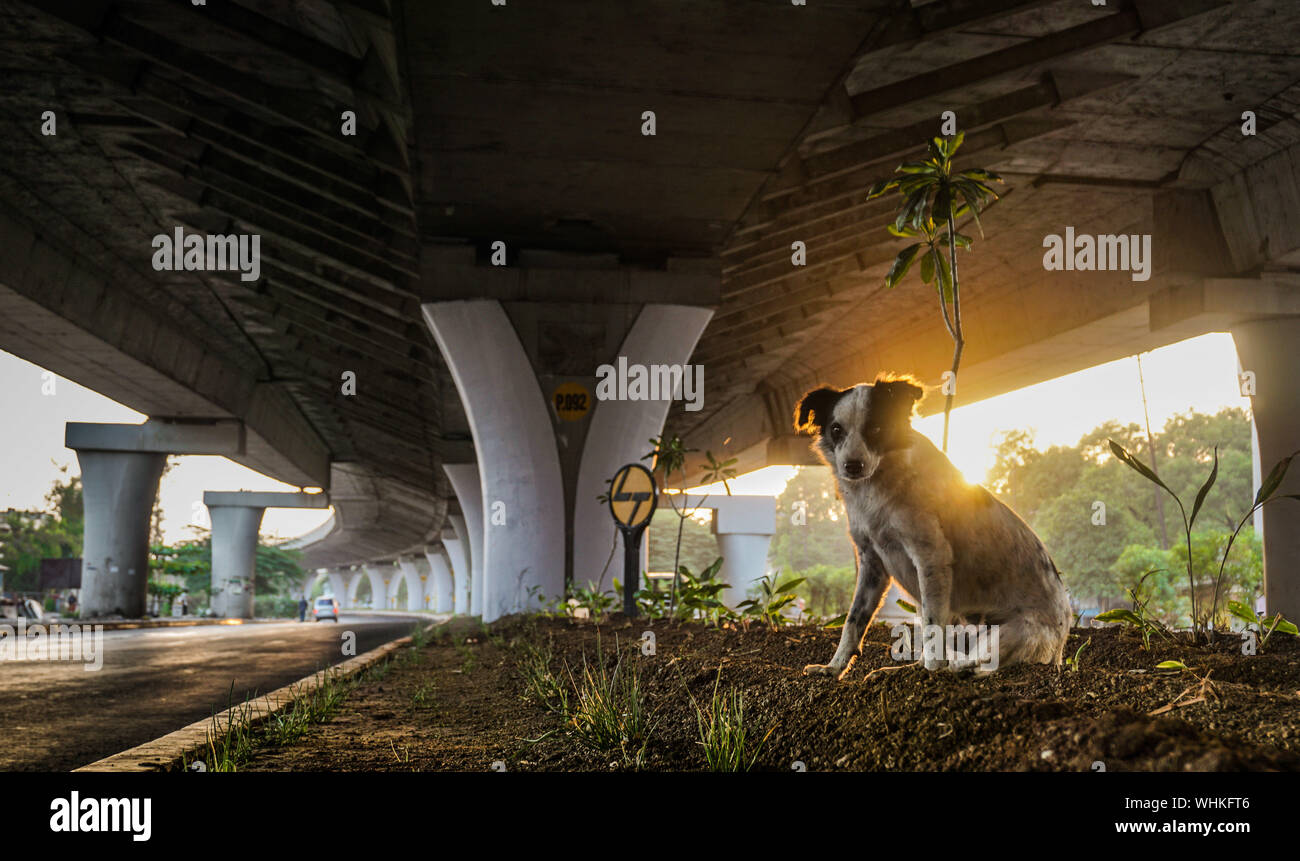 Man sitting under bridge hi-res stock photography and images - Alamy