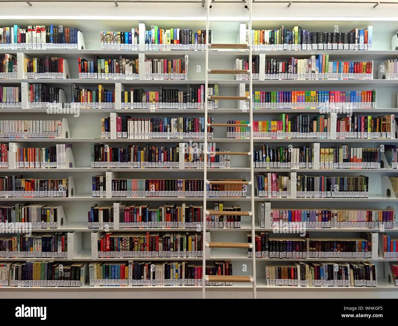 Book book shelf hi-res stock photography and images - Alamy