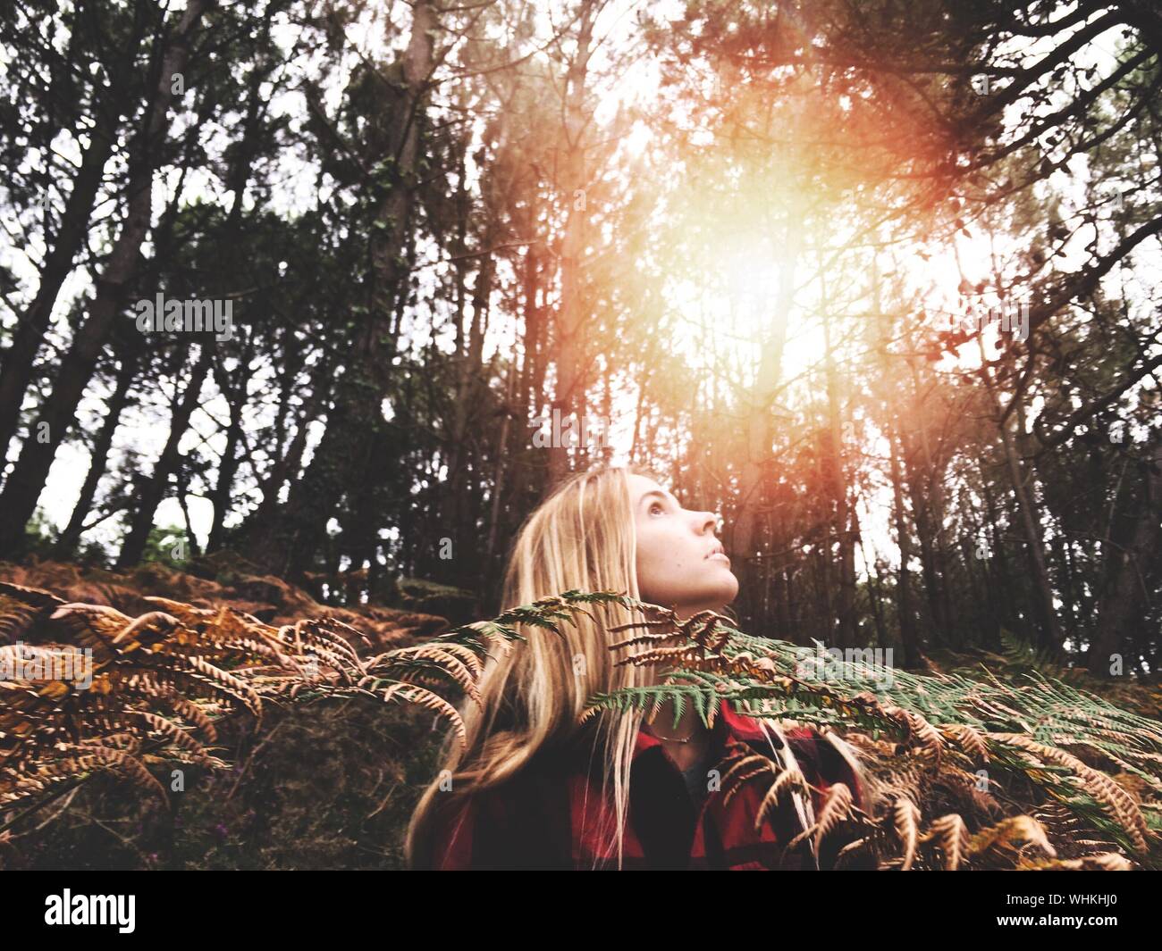 Woman in tree ethereal hi-res stock photography and images - Alamy