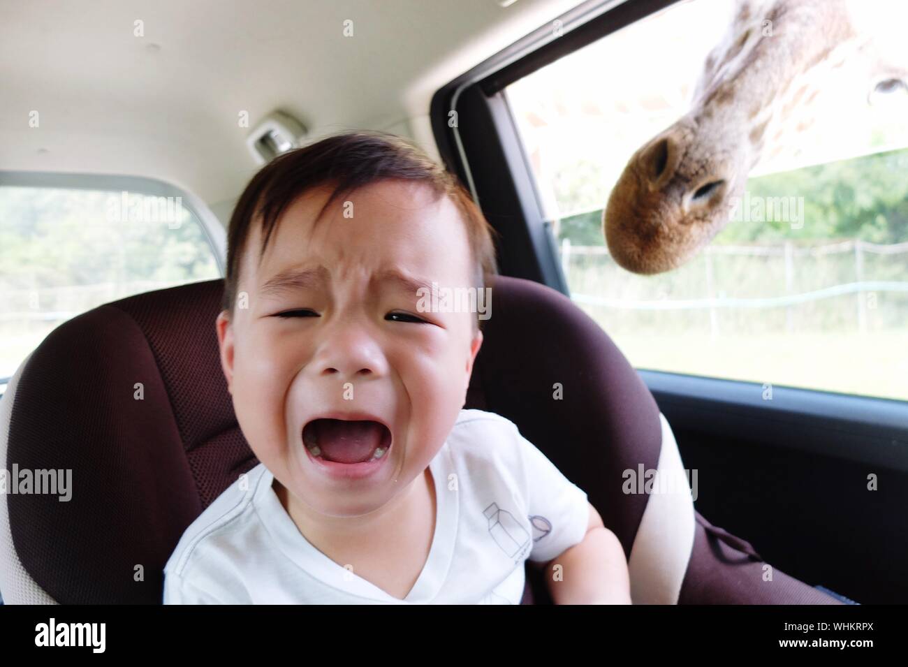 Terrified baby hi-res stock photography and images - Alamy