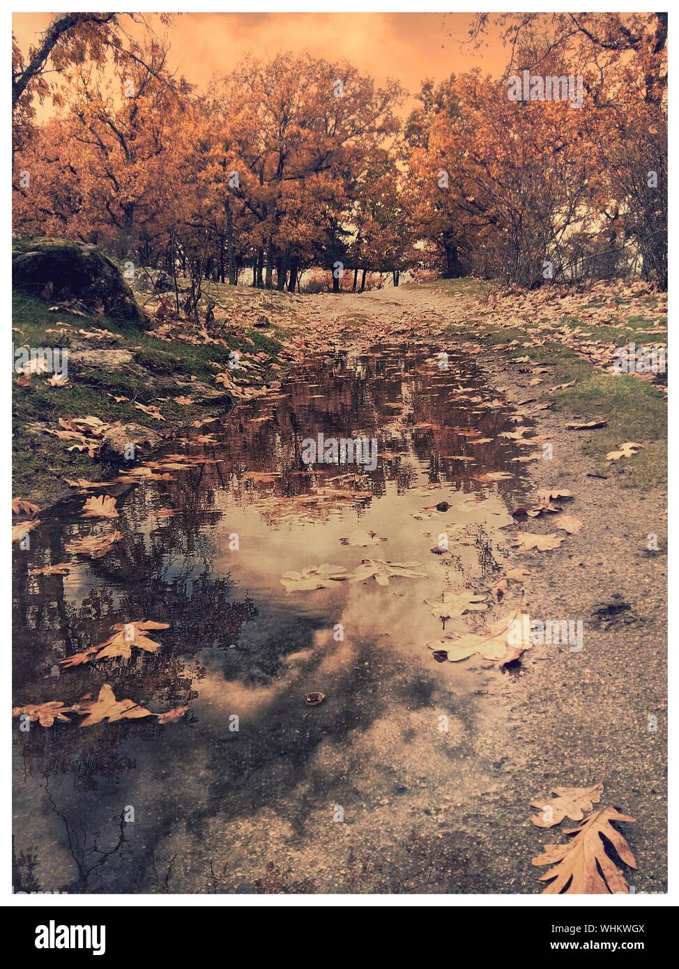 Puddle puddle Cut Out Stock Images & Pictures - Alamy