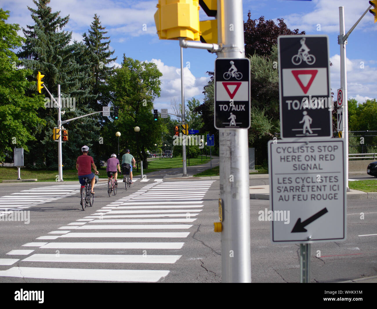 Trillium pathway hi-res stock photography and images - Alamy