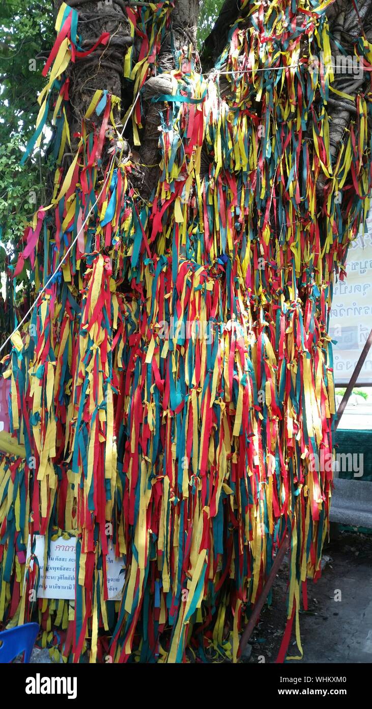 Ribbon tied to tree hi-res stock photography and images - Alamy