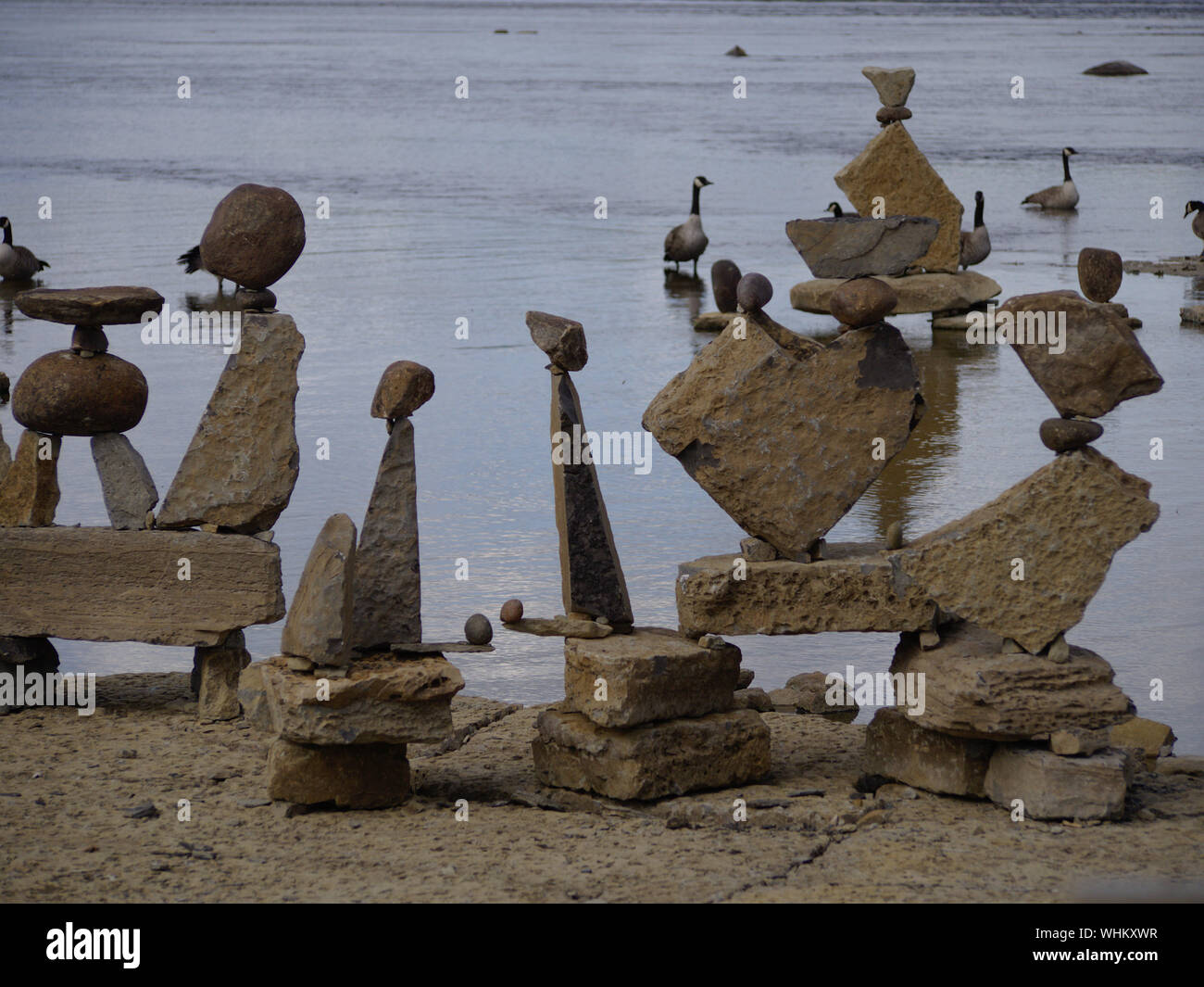 Geese in the river behind John Felice Ceprano's balanced rock sculpture ...
