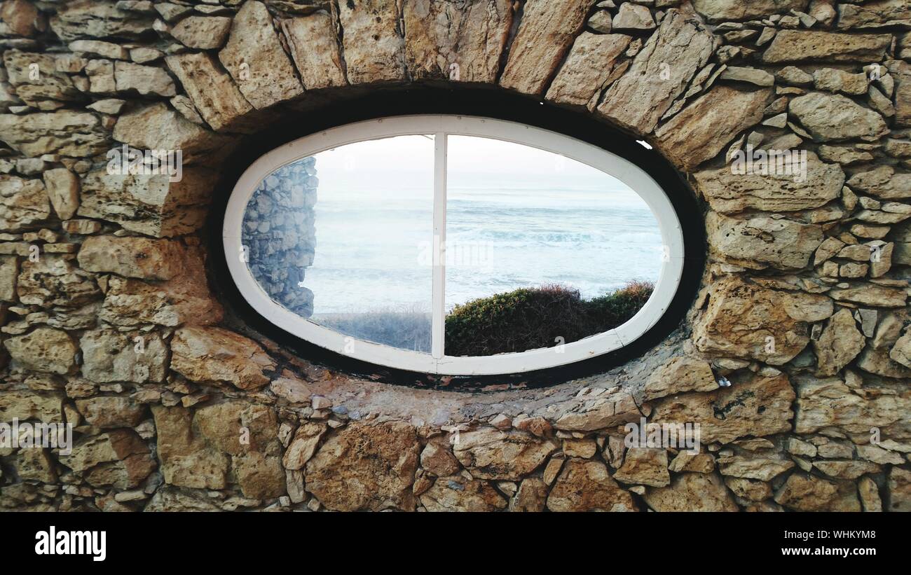 Oval Shape In Nature High Resolution Stock Photography and Images - Alamy