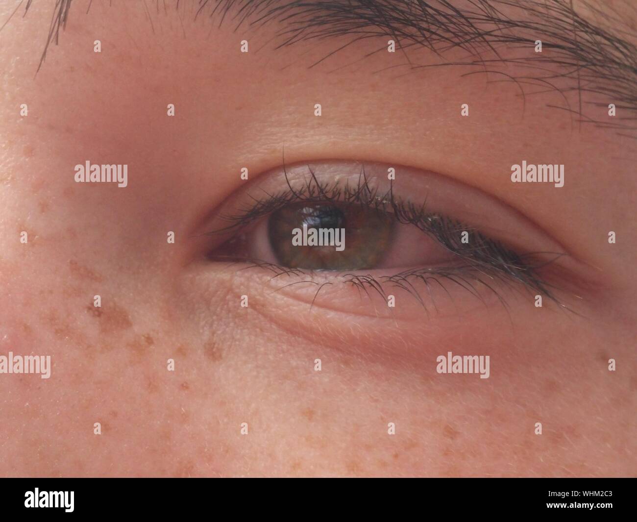 Brown eye boy hi-res stock photography and images - Alamy