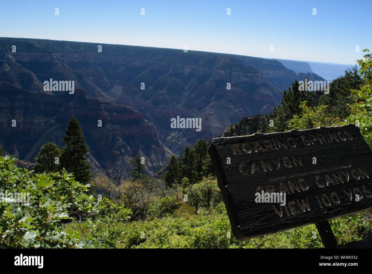 Grand Canyon National Park North Rim, USA. Grand Canyon National Park ...