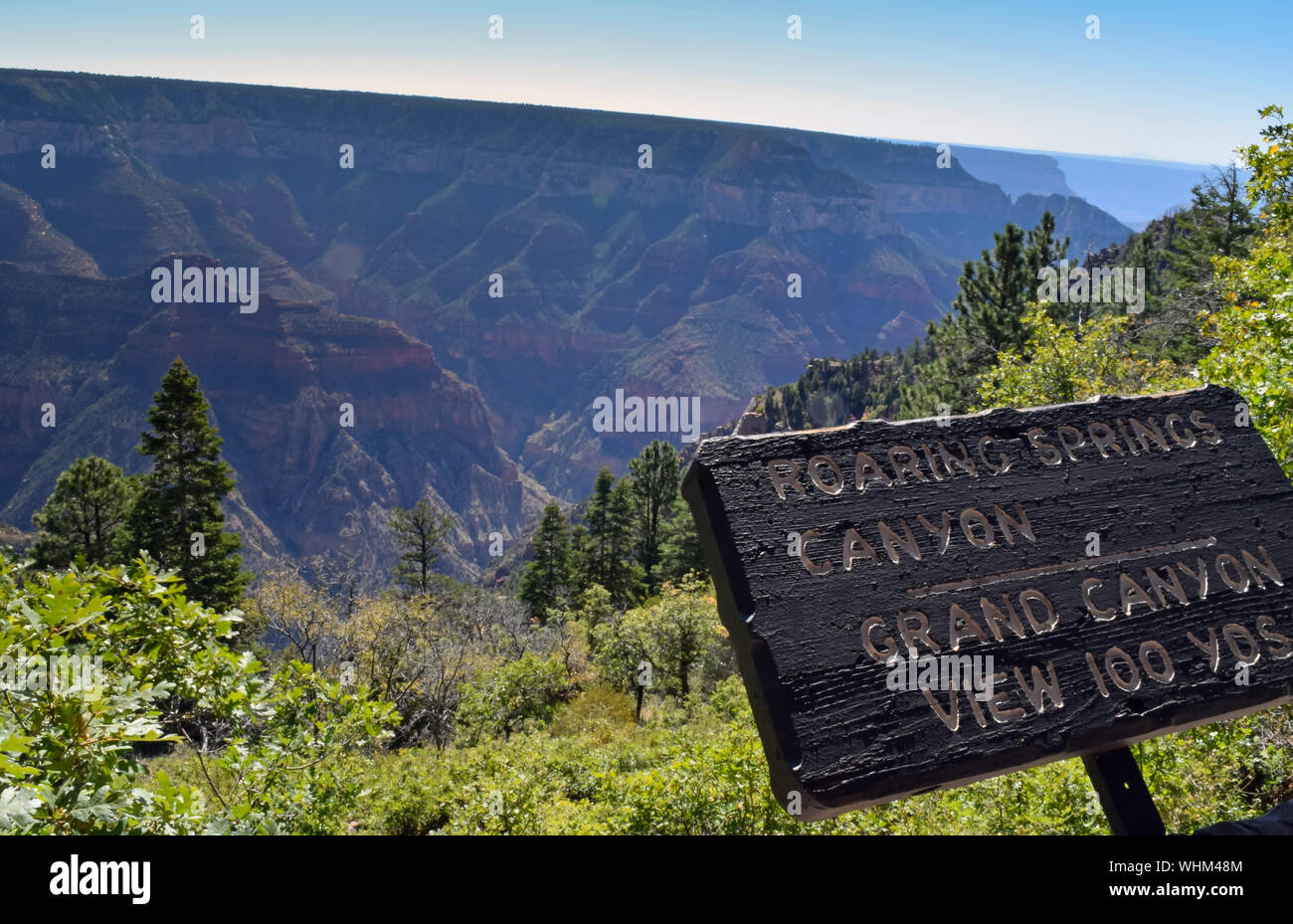 Grand Canyon National Park North Rim, USA. Grand Canyon National Park ...