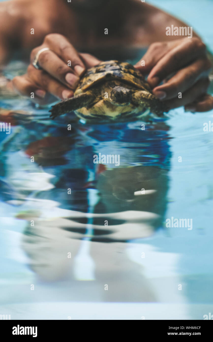 Man holding turtle shell hi-res stock photography and images - Alamy