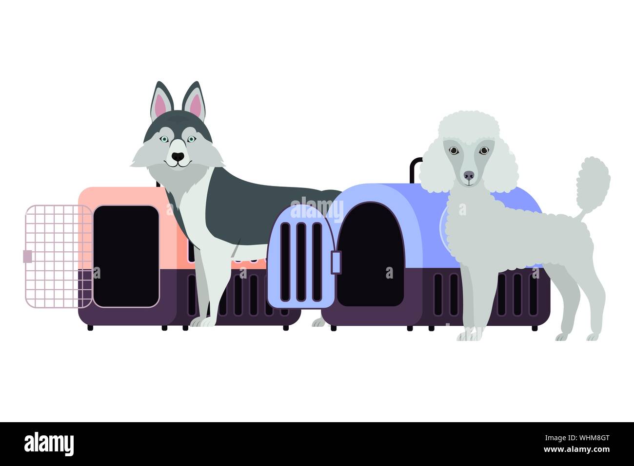 dogs and pet transport boxes on white background Stock Vector Image ...