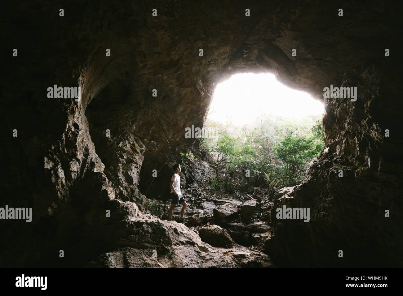 Tree cave person hi-res stock photography and images - Alamy
