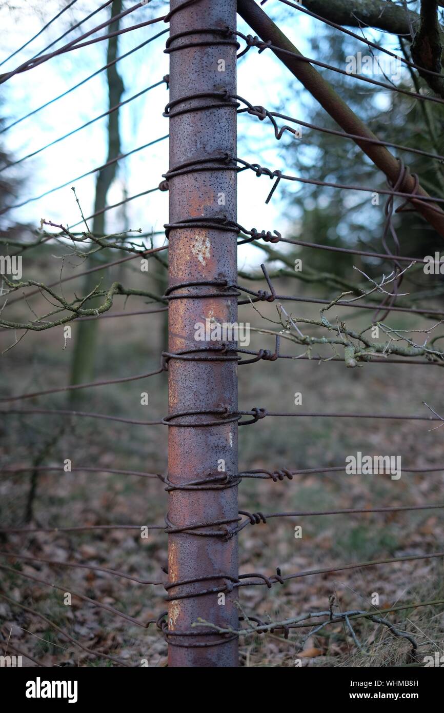 Metal wire tied hi-res stock photography and images - Alamy