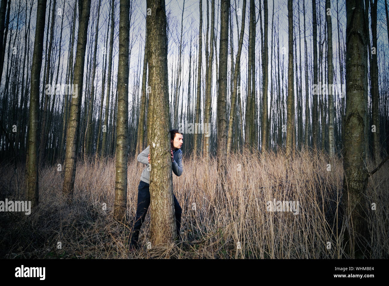 Man Hiding In Tree High Resolution Stock Photography and Images - Alamy