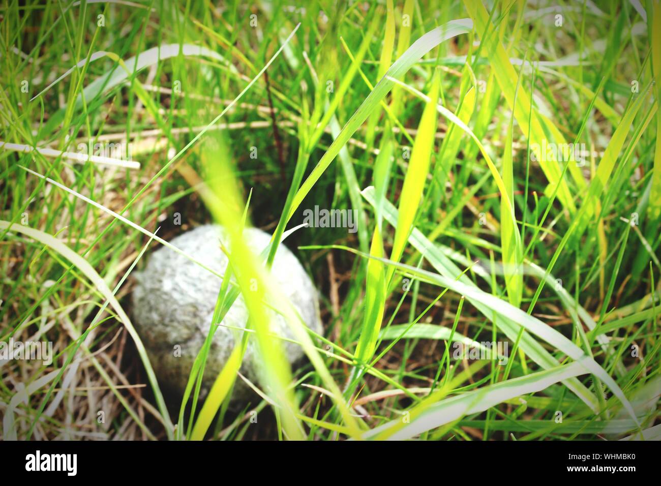 Stone green hi-res stock photography and images - Alamy
