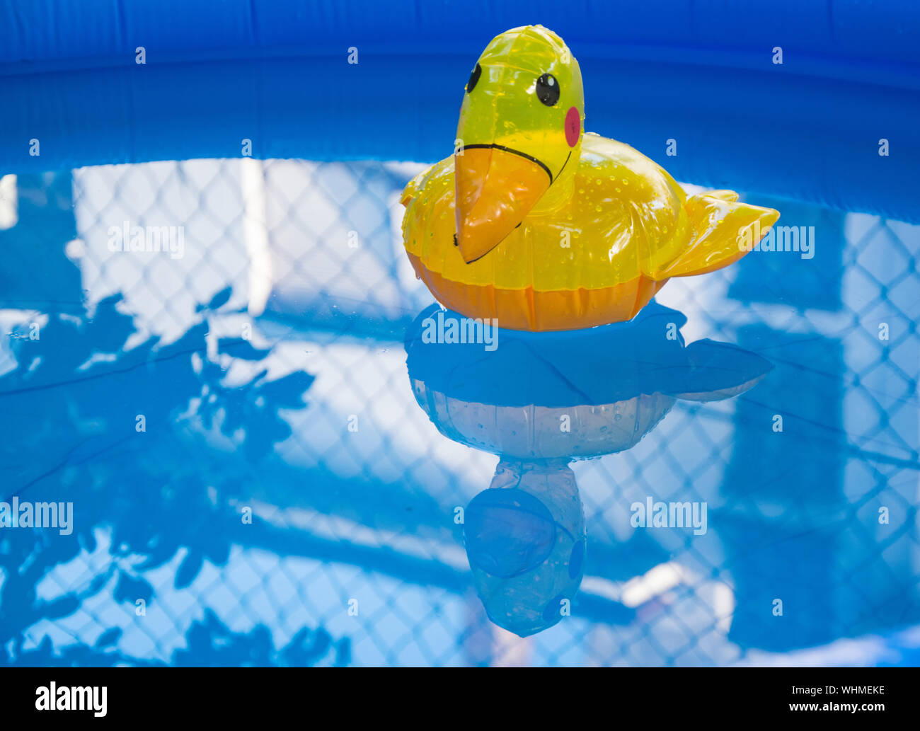 Inflatable pool toy hi-res stock photography and images - Alamy