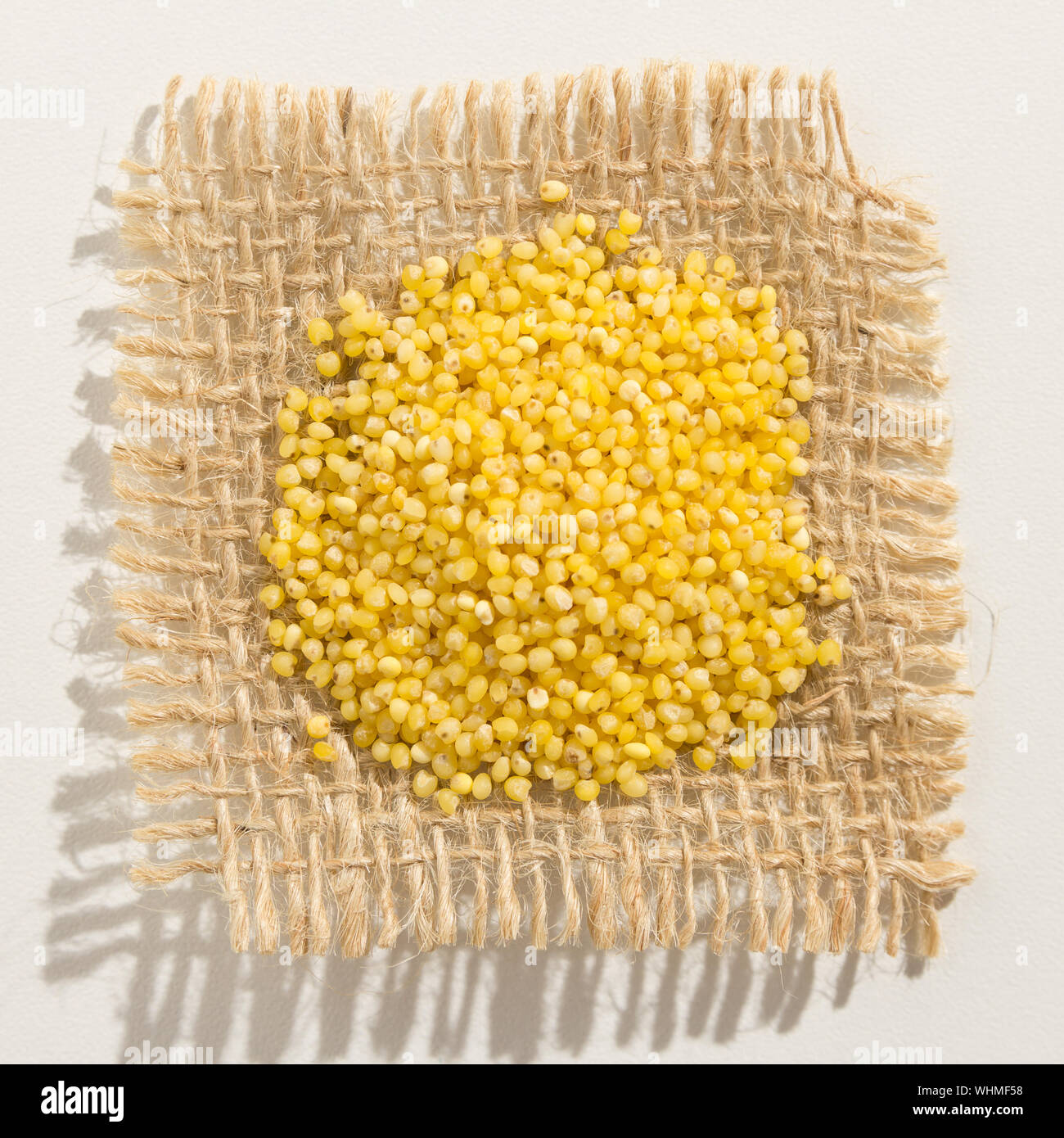 Proso Millet High Resolution Stock Photography and Images - Alamy