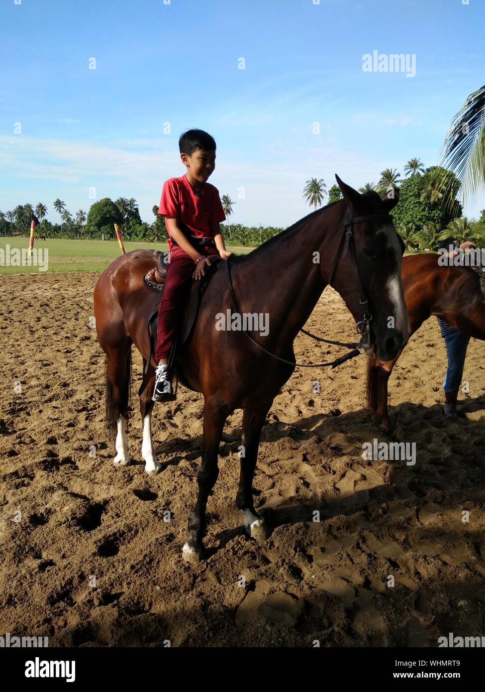 Riding field hi-res stock photography and images - Alamy