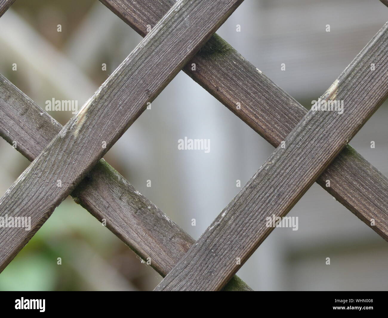 Thorn fence hi-res stock photography and images - Alamy